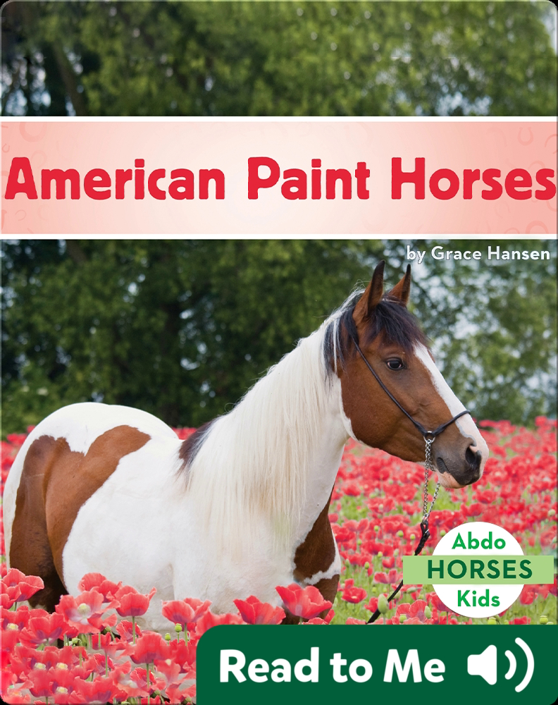 American Paint Horses Book by Grace Hansen | Epic