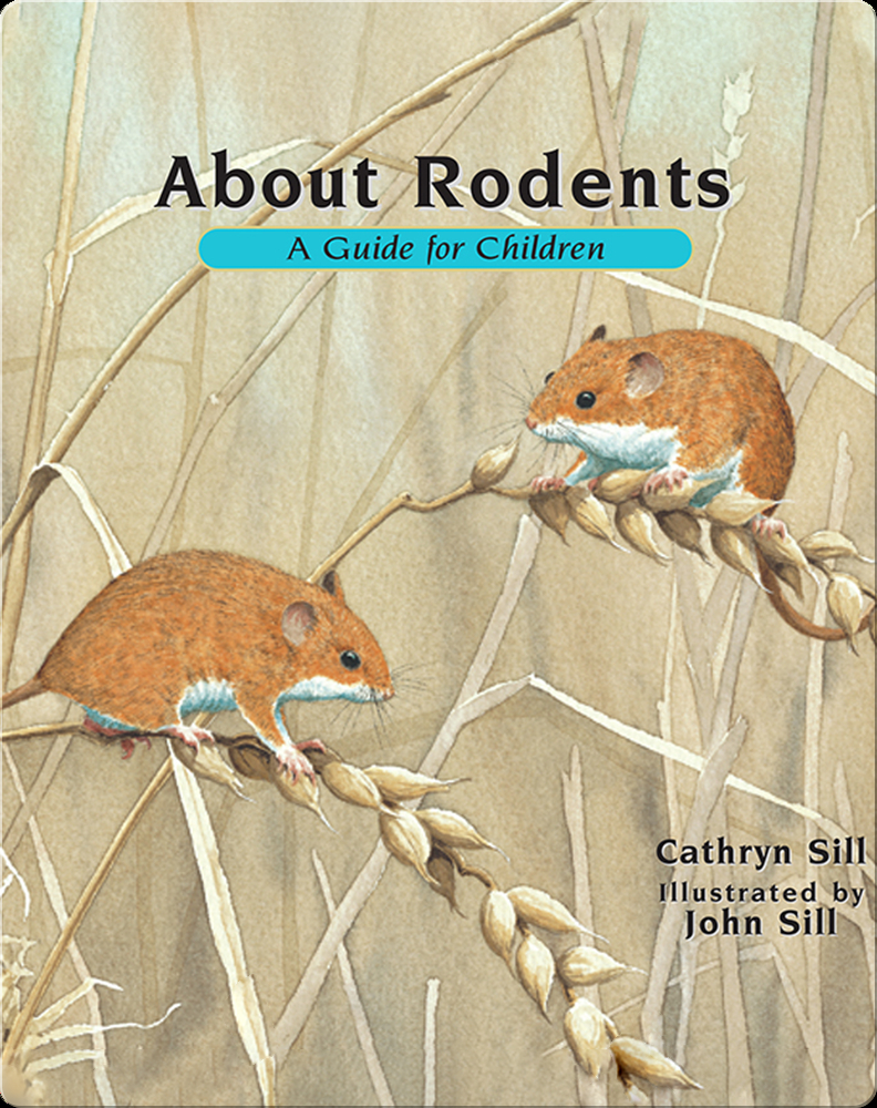 About Rodents: A Guide for Children Book by Cathryn Sill | Epic