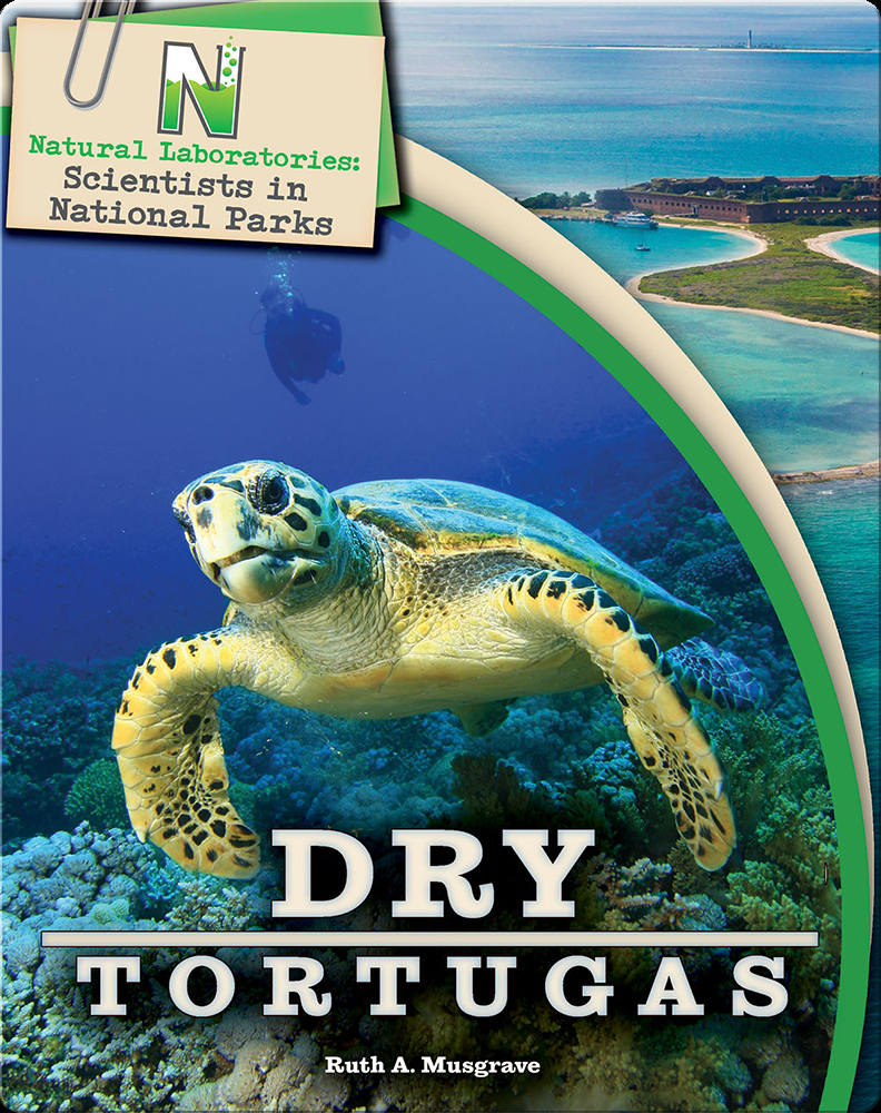 Scientists in National Parks: Dry Tortugas Book by Ruth A. Musgrave | Epic