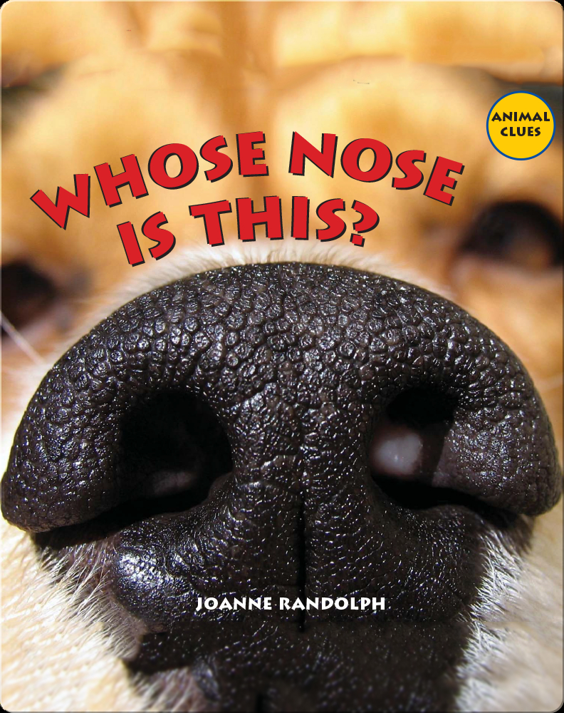 Whose Nose Is This? Book by Joanne Randolph | Epic