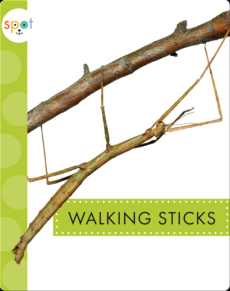 Creepy Crawlies: Walking Sticks Book by Nessa Black | Epic