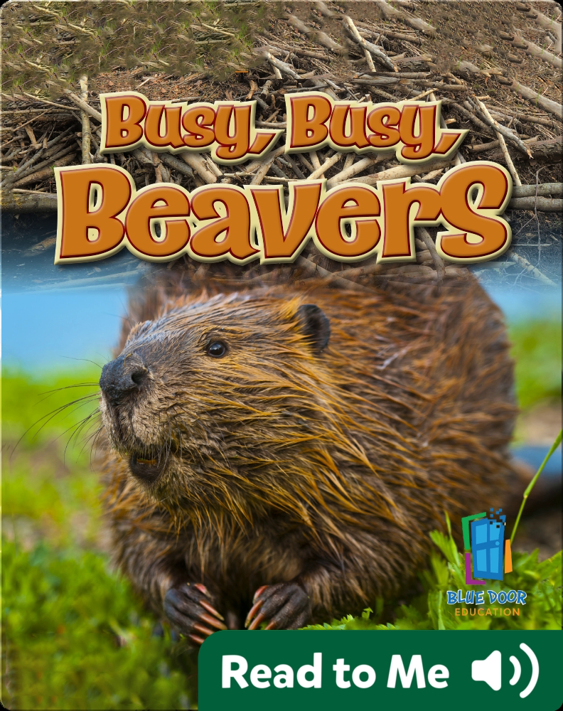 Busy, Busy, Beavers Book by Alan Walker | Epic