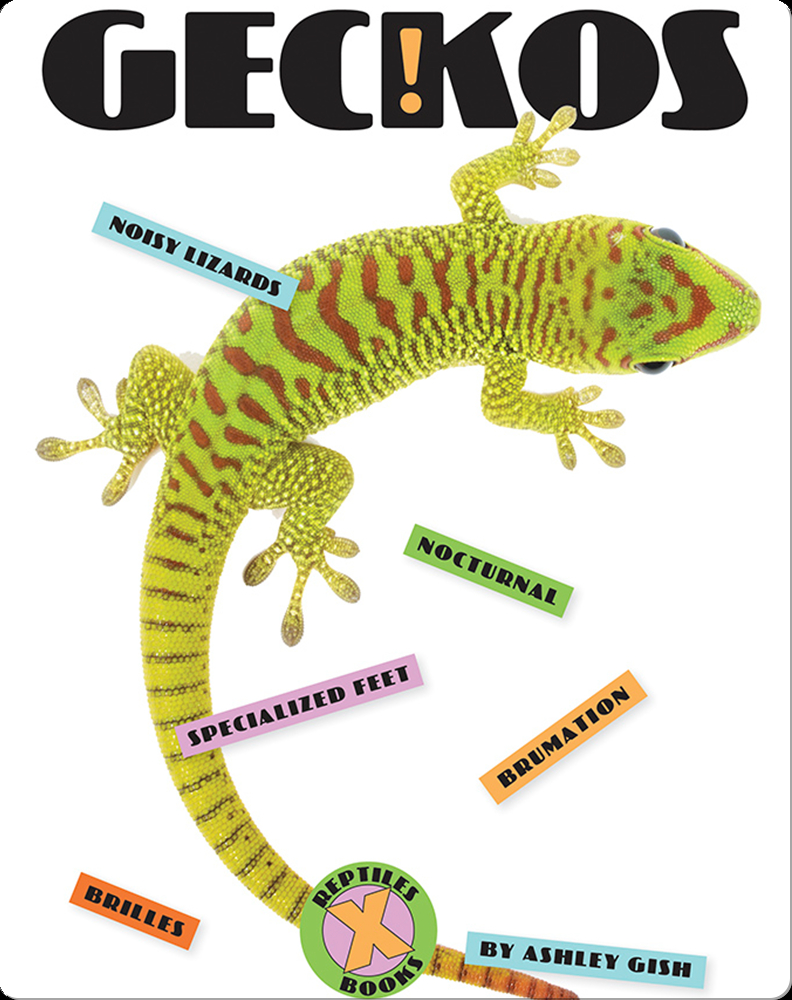 Geckos Book by Ashley Gish | Epic