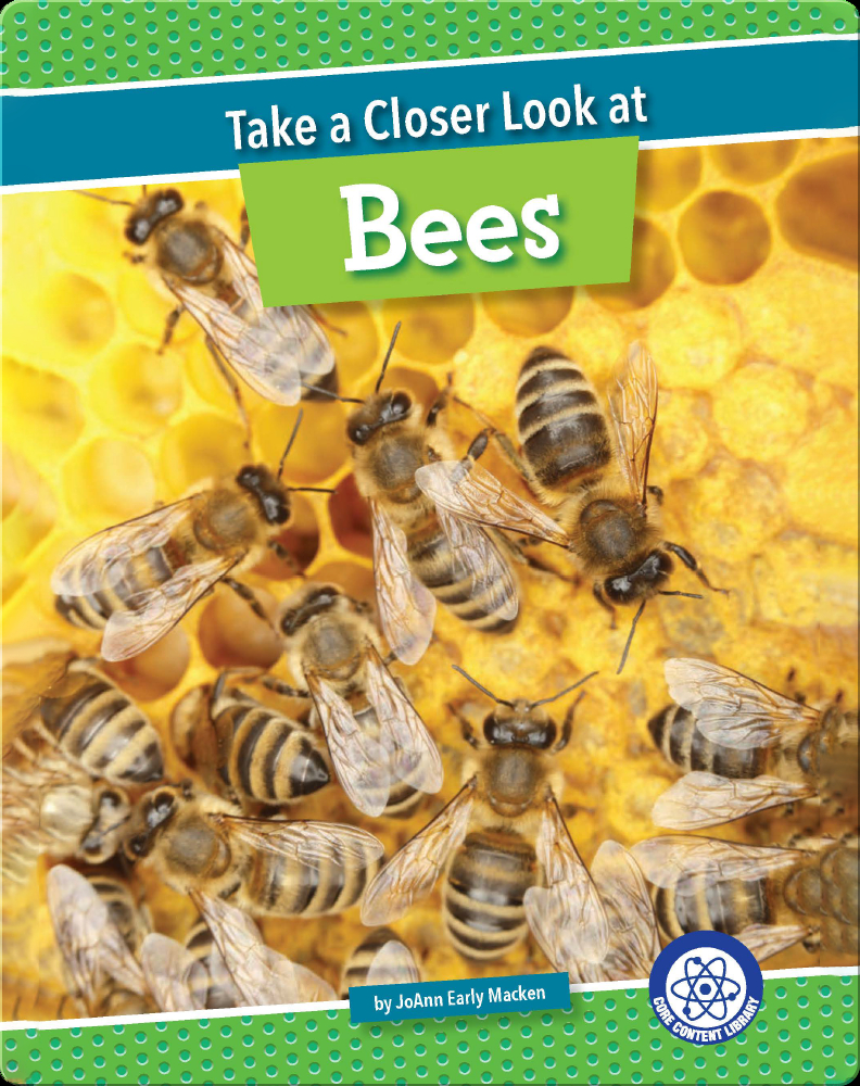 Take a Closer Look at Bees Book by JoAnn Early Macken | Epic