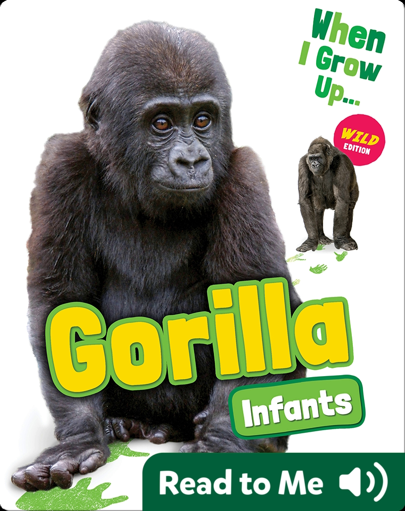 Gorilla Infants Book by Emmie Chang | Epic