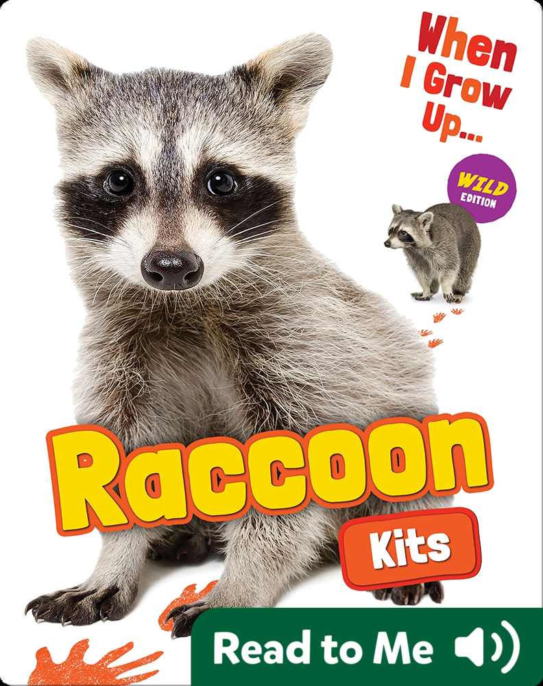 Raccoon Kits Book by Emmie Chang | Epic