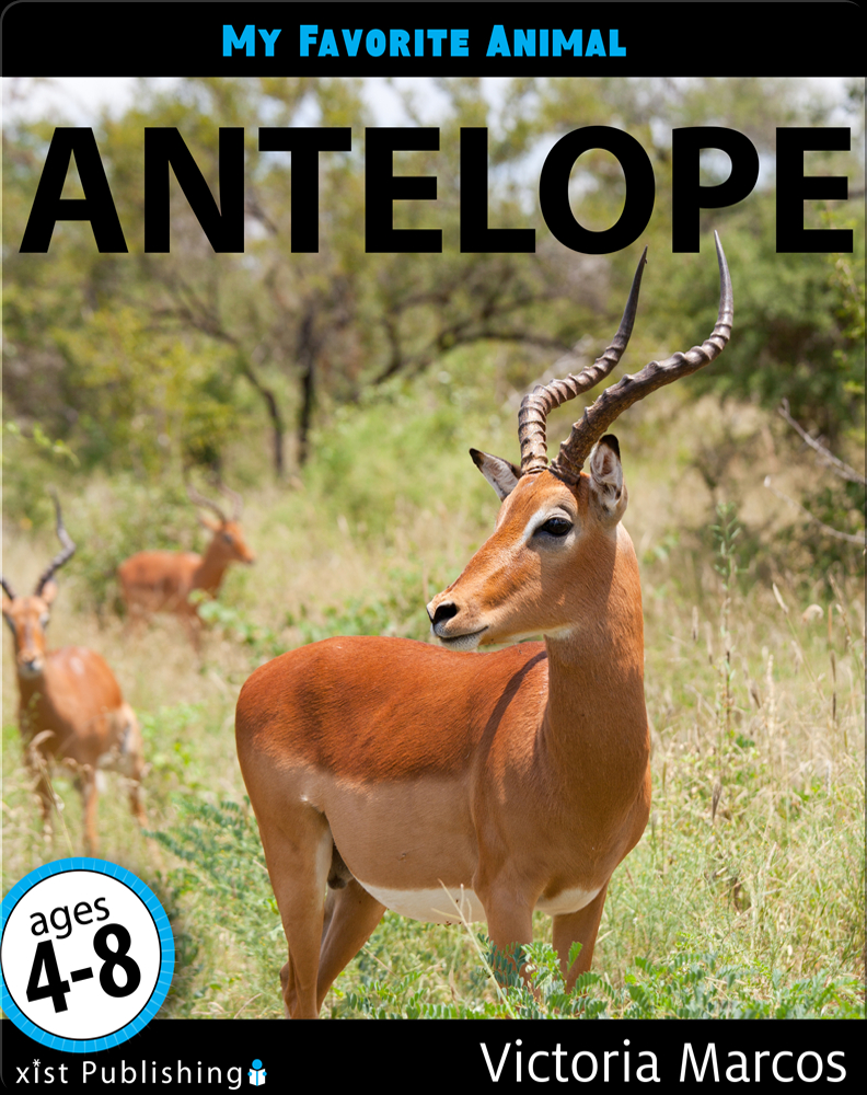 My Favorite Animal: Antelope Book by Victoria Marcos | Epic
