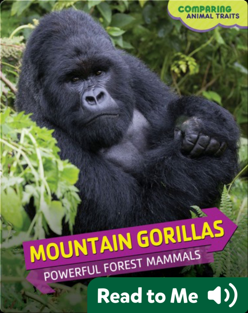 Mountain Gorillas: Powerful Forest Mammals Book by Rebecca E. Hirsch | Epic