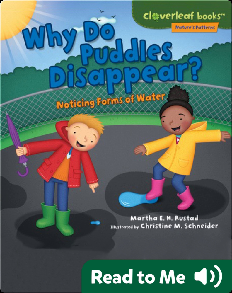 Why Do Puddles Disappear?: Noticing Forms of Water Book by Martha E. H ...