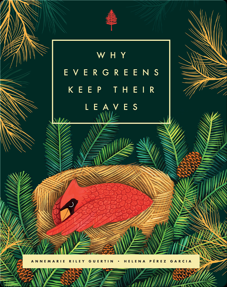 Why Evergreens Keep Their Leaves Book by Annemarie Riley Guertin | Epic