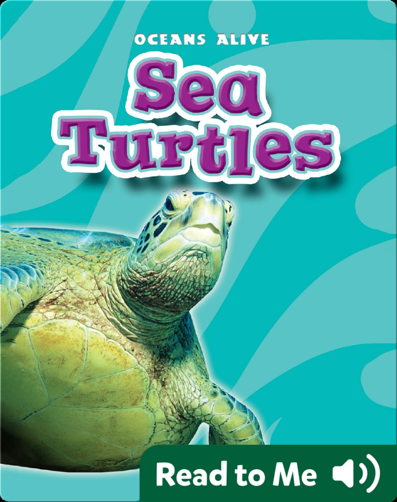 Sea Turtles: Oceans Alive Book by Ann Herriges | Epic