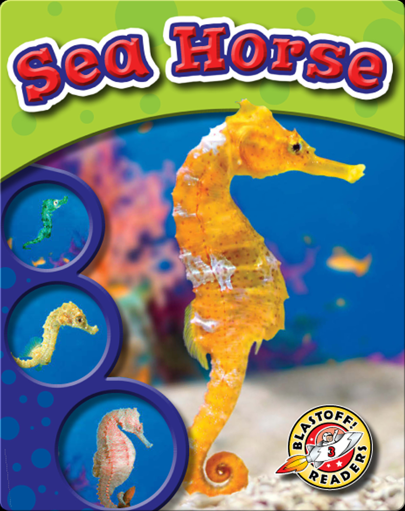 The Life Cycle of a Sea Horse Book by Colleen Sexton | Epic