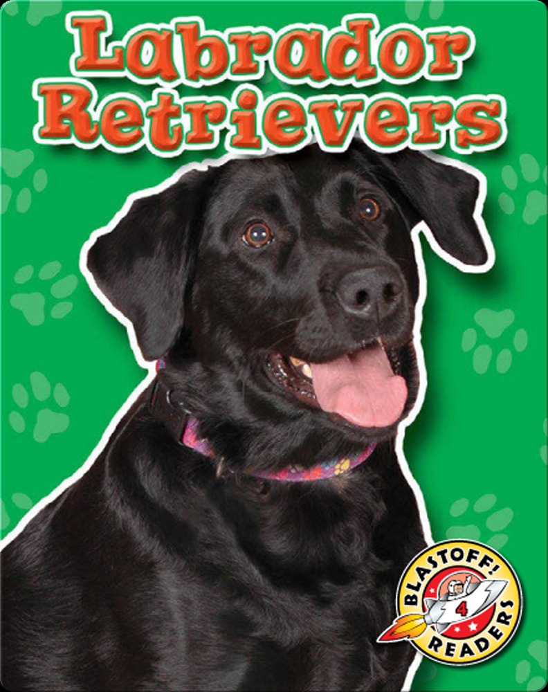 Labrador Retrievers: Dog Breeds Book by Mari Schuh | Epic