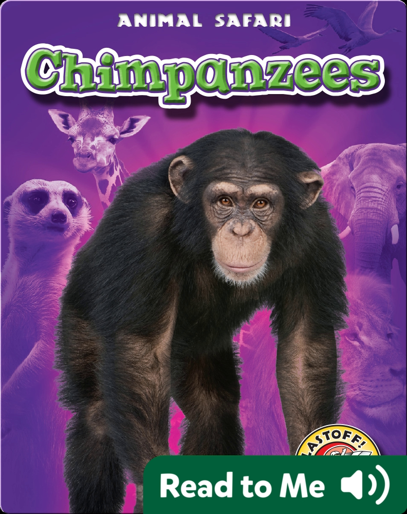 Chimpanzees: Animal Safari Book by Derek Zobel | Epic