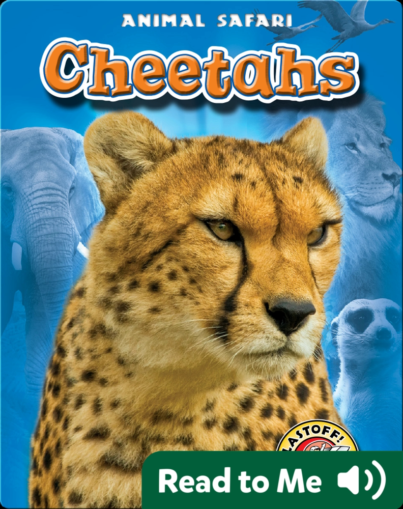 Cheetahs: Animal Safari Book by Megan Borgert-Spaniol | Epic