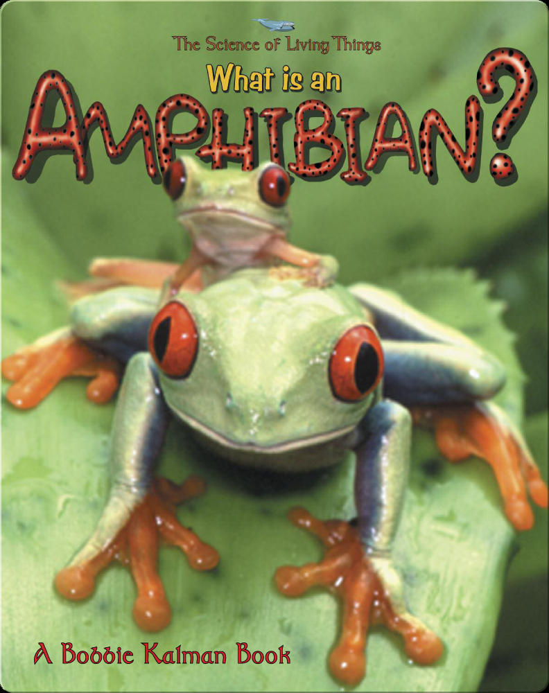 What is an Amphibian? Book by Bobbie Kalman, Jacqueline Langille | Epic