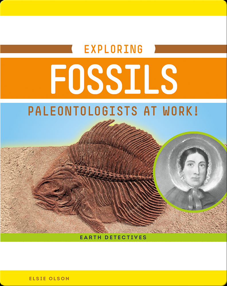 Exploring Fossils: Paleontologists at Work! Book by Elsie Olson | Epic