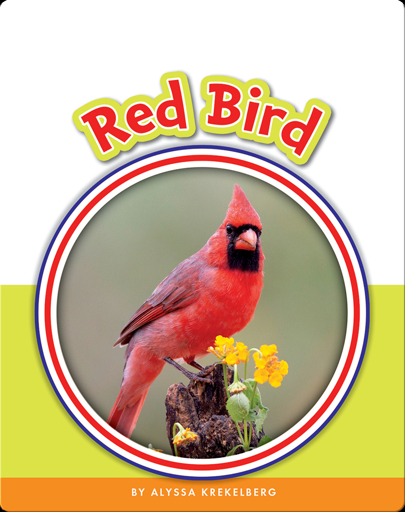 Learning Sight Words: Red Bird Book by Alyssa Krekelberg | Epic