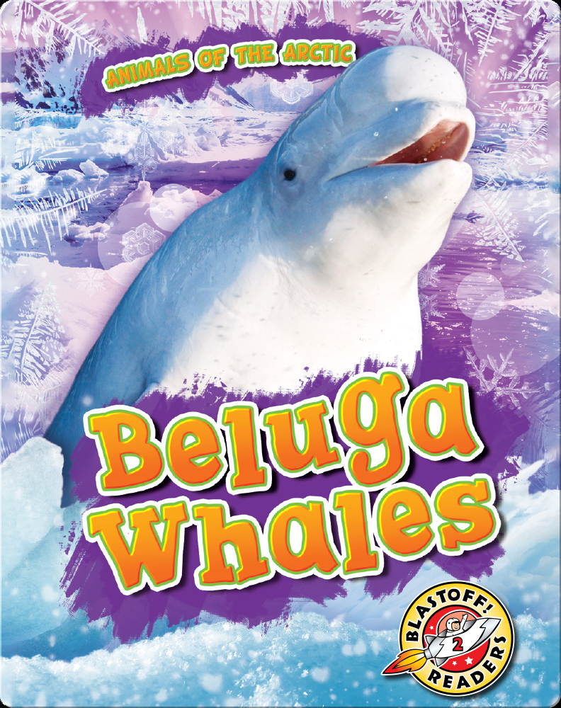 Animals of the Arctic: Beluga Whales Book by Betsy Rathburn | Epic