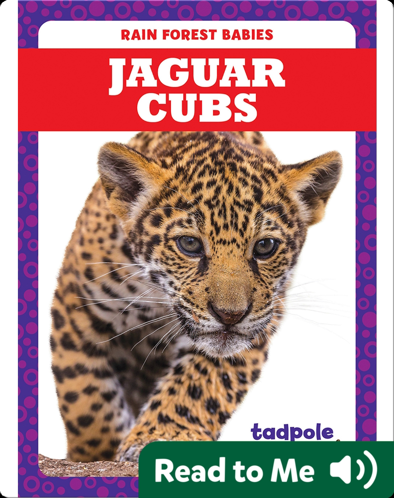 Rain Forest Babies: Jaguar Cubs Book by Genevieve Nilsen | Epic
