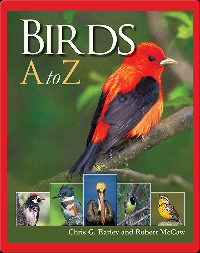 Birds A to Z Book by Chris G. Earley | Epic
