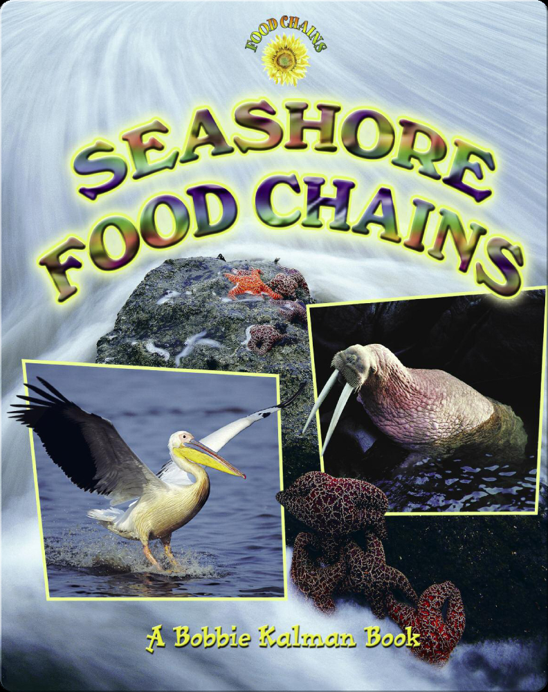 Seashore Food Chains Book by Bobbie Kalman, John Crossingham | Epic