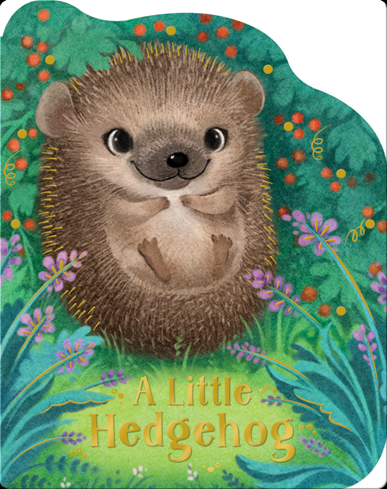 A Little Hedgehog Book by Rosalee Wren | Epic