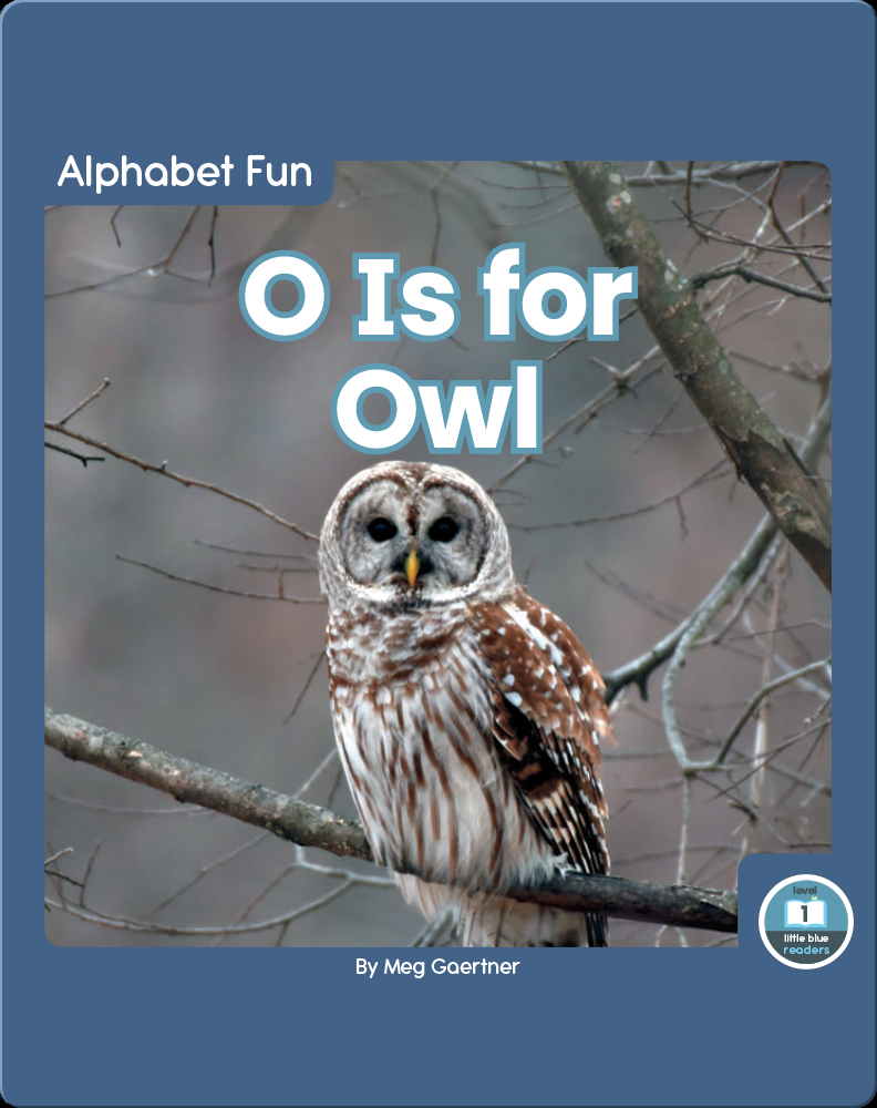 Alphabet Fun: O is for Owl Book by Meg Gaertner | Epic