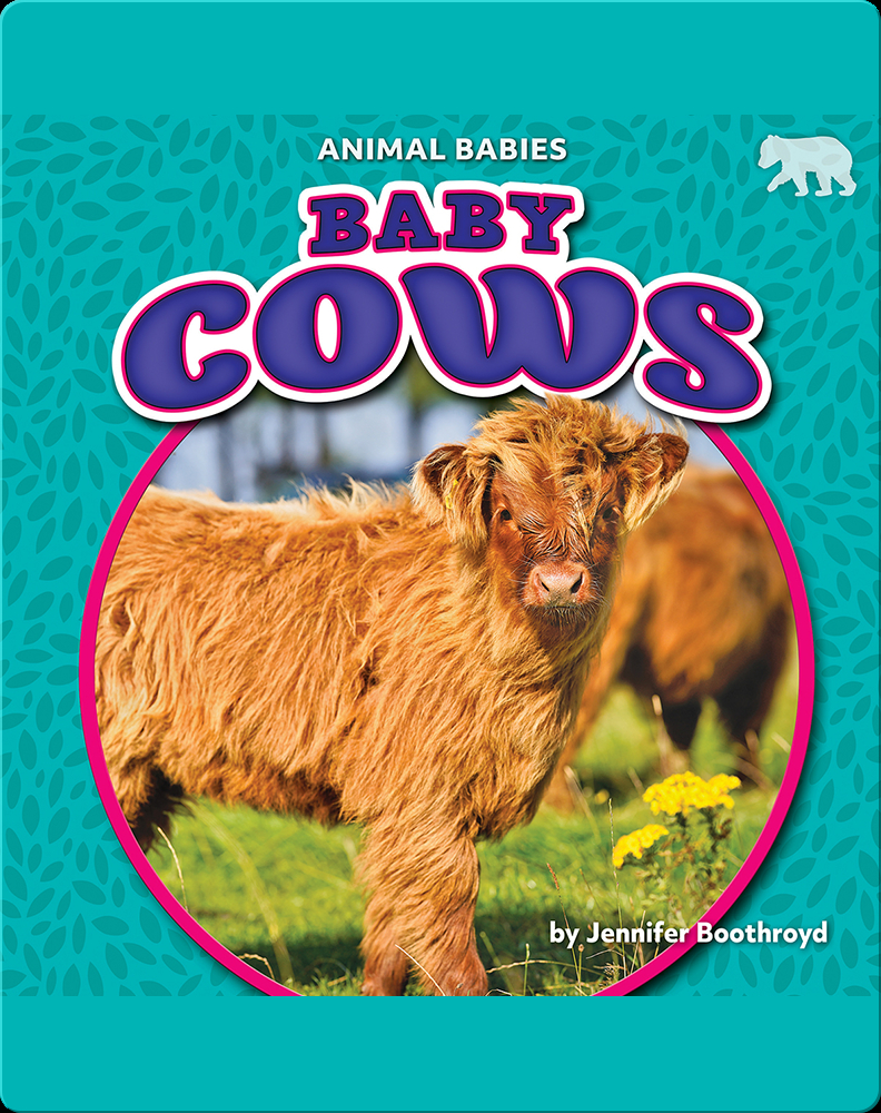 Animal Babies: Baby Cows Book by Jennifer Boothroyd | Epic