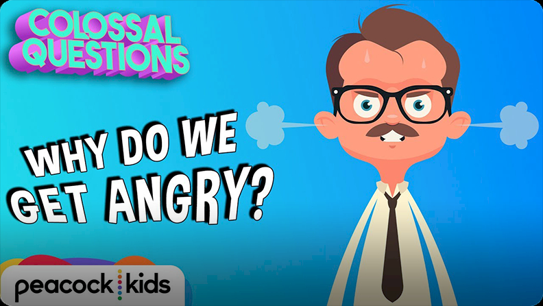 Colossal Questions Why Do We Get Angry Video Discover Fun And