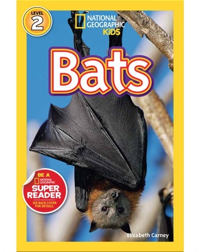 Bats Children's Book Collection | Discover Epic Children's Books ...