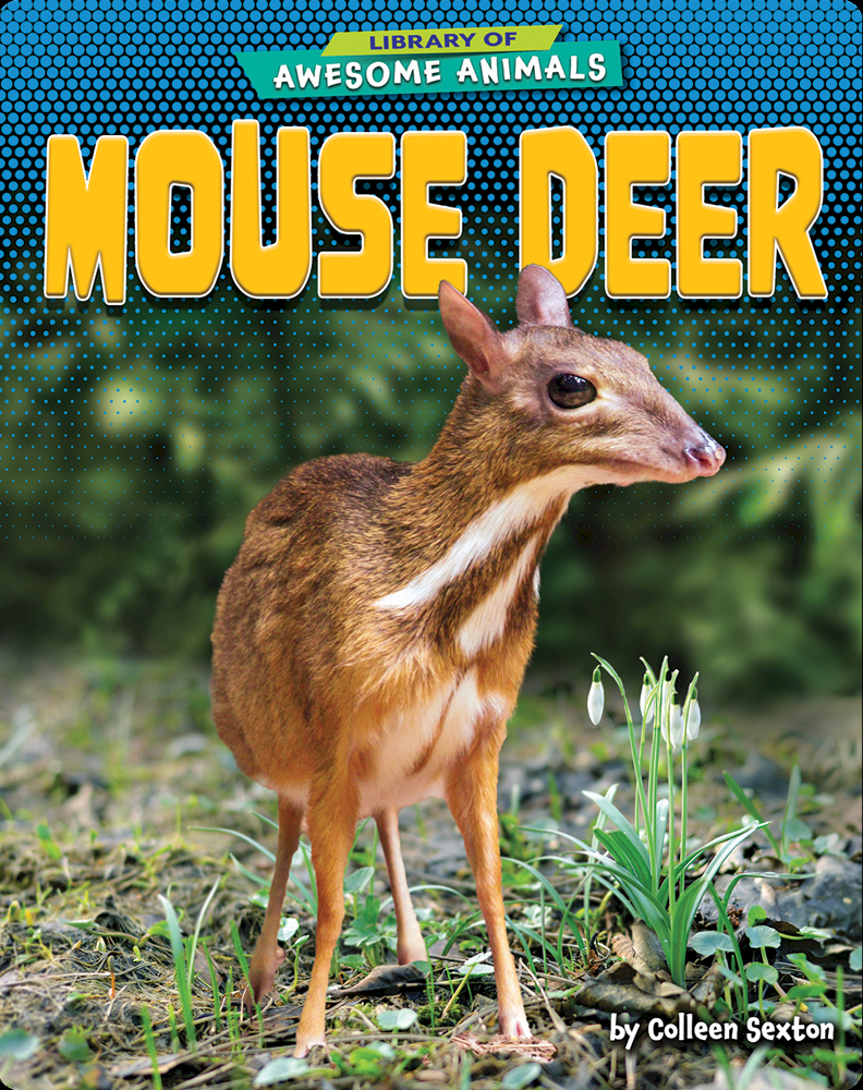 Awesome Animals: Mouse Deer Book by Colleen Sexton | Epic