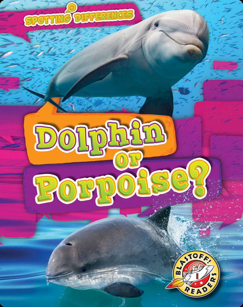 Spotting Differences: Dolphin or Porpoise? Book by Mari Schuh | Epic