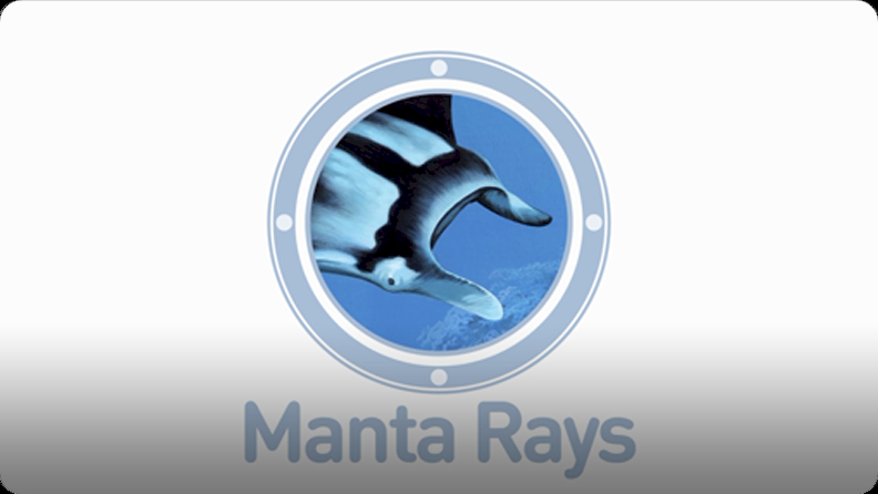Amazing Animals: Manta Rays Video | Discover Fun and Educational Videos ...