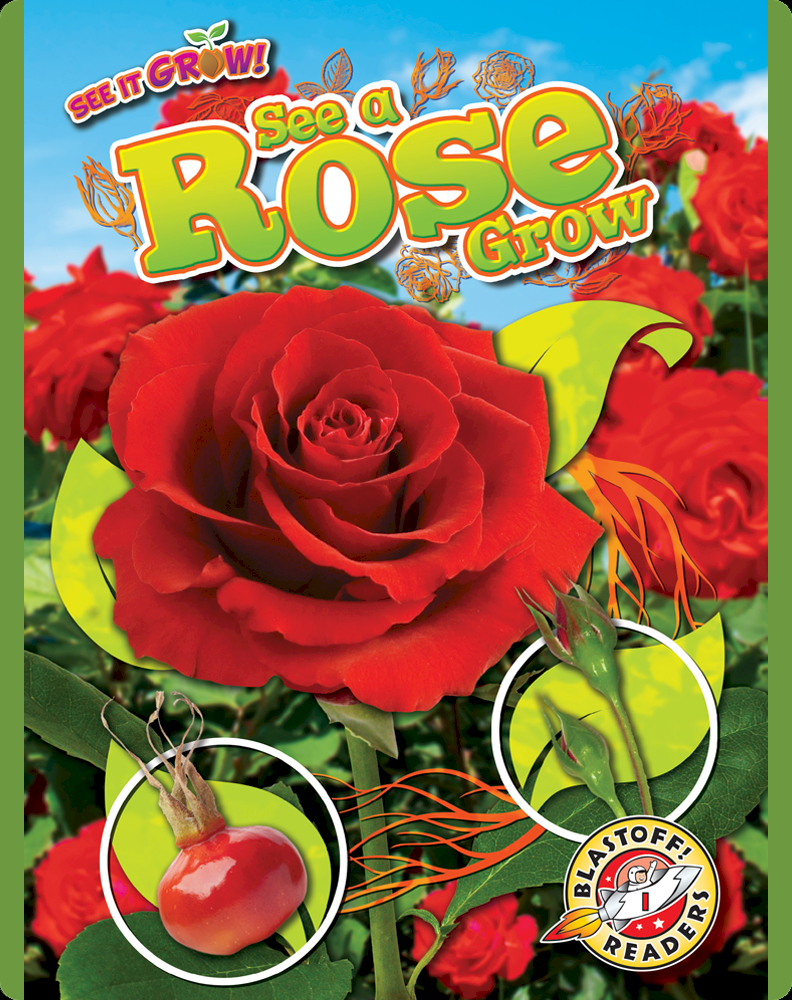 See a Rose Grow Book by Kirsten Chang | Epic