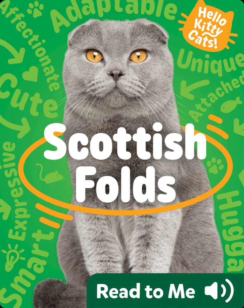 Hello Kitty Cats! Scottish Folds Book by Emmie Chang | Epic