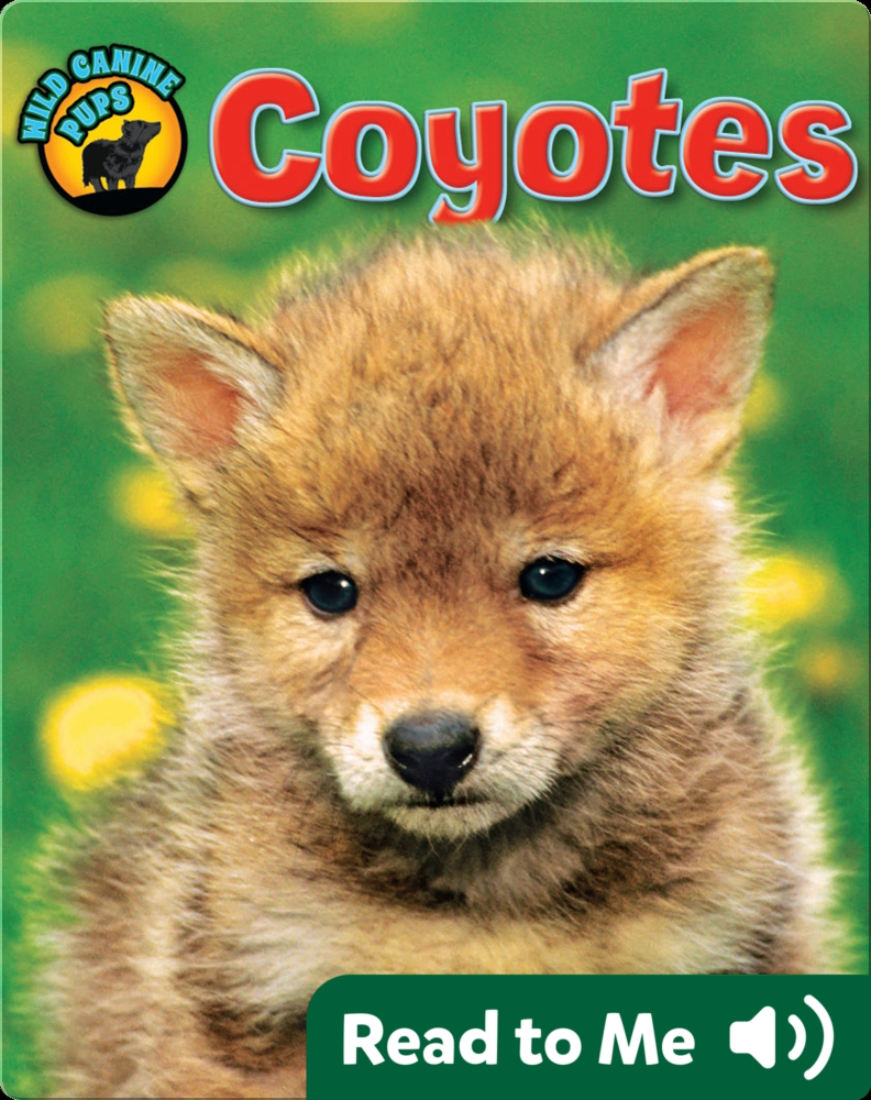 Coyotes (Wild Canine Pups) Book by Ruth Strother | Epic