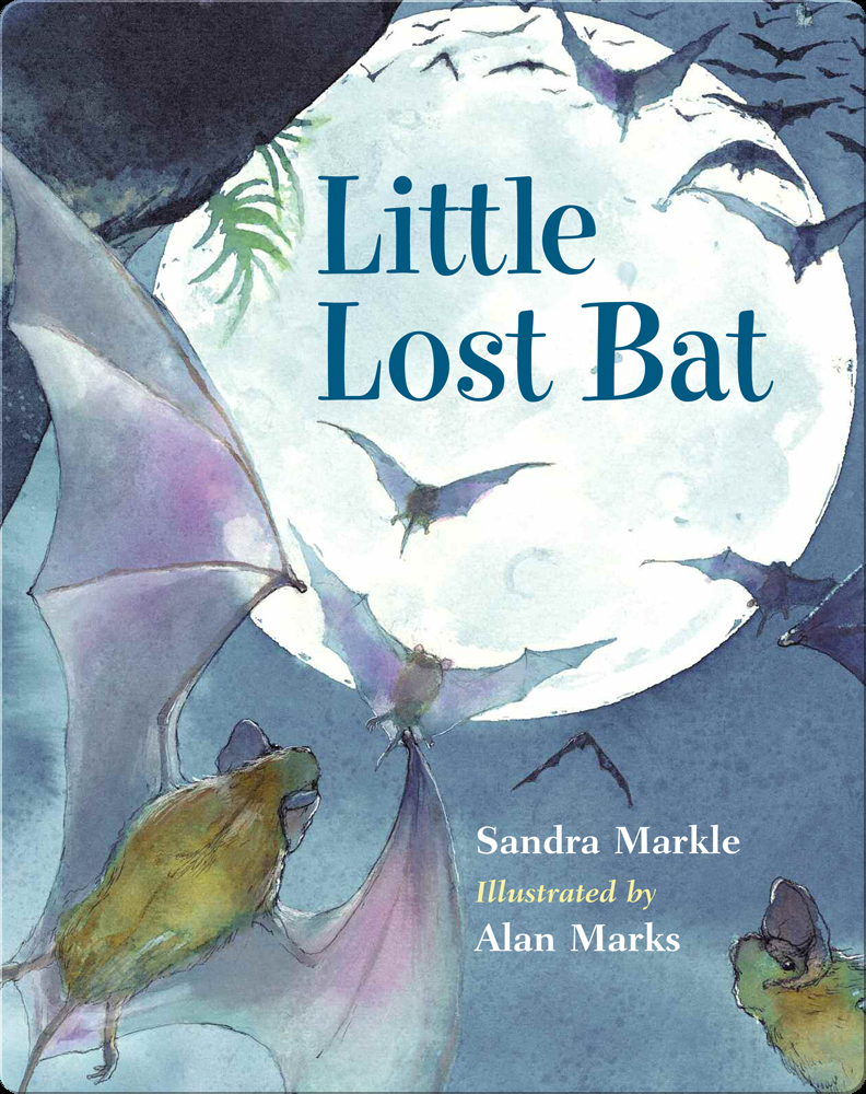 Little Lost Bat Book by Sandra Markle | Epic