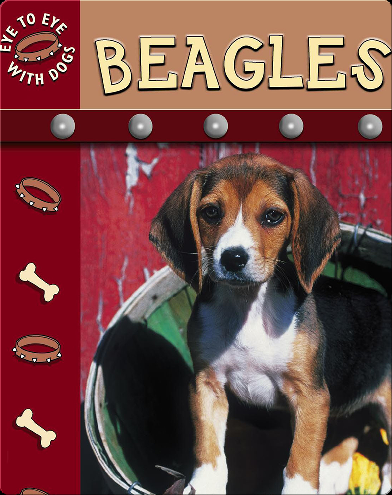 Eye To Eye With Dogs: Beagles Book by Lynn Stone | Epic