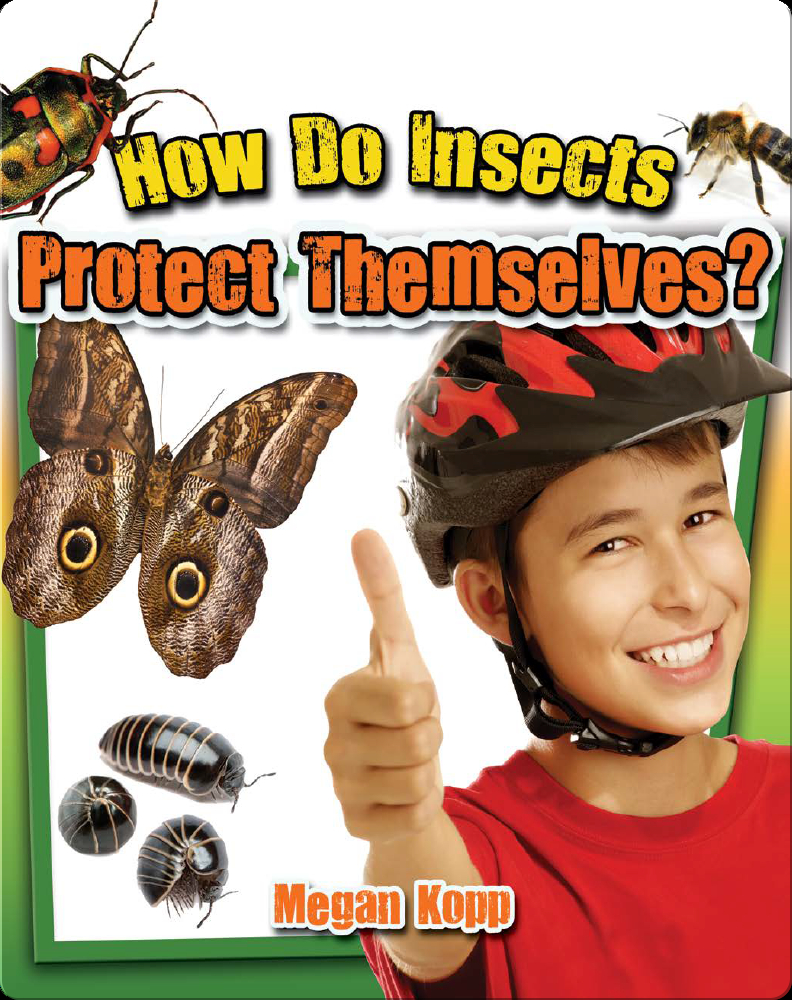 How Do Insects Protect Themselves? Book by Megan Kopp | Epic