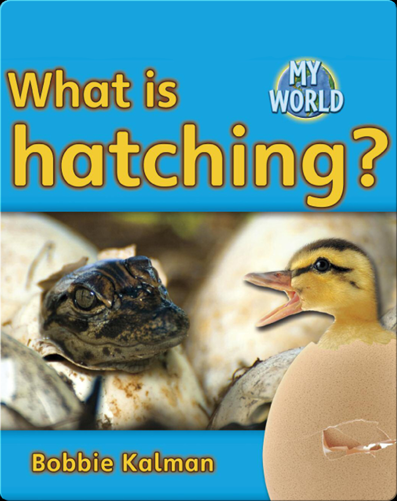 What Is Hatching? Book by Bobbie Kalman | Epic