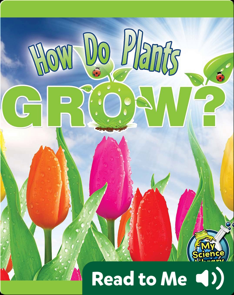 How Do Plants Grow? Book by Julie Lundgren | Epic