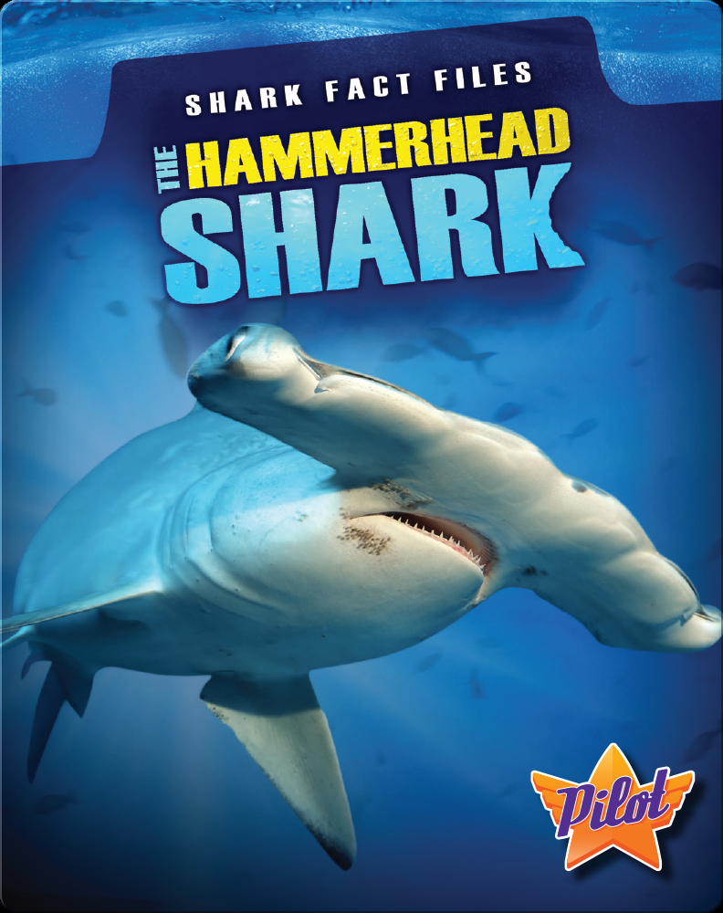 Shark Fact Files: The Hammerhead Shark Book by Sara Green | Epic