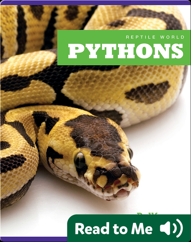 Reptile World: Pythons Book by Cari Meister | Epic