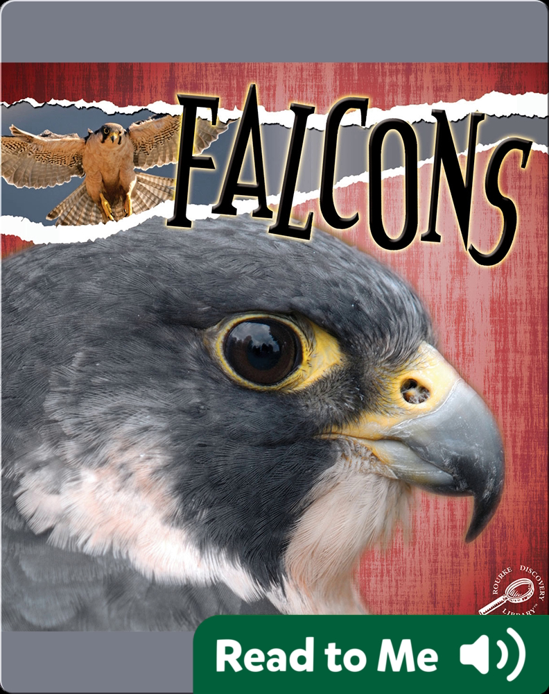 Raptors: Falcons Book by Julie Lundgren | Epic