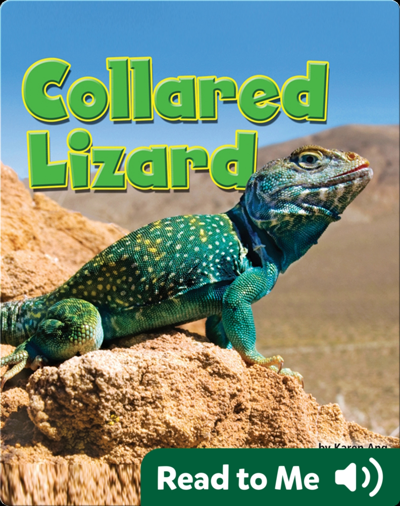 Collared Lizard Book by Karen Ang | Epic