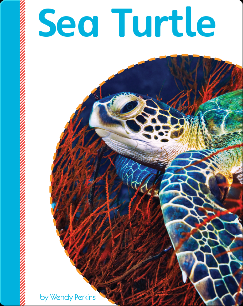 Sea Turtle Book by Wendy Perkins | Epic
