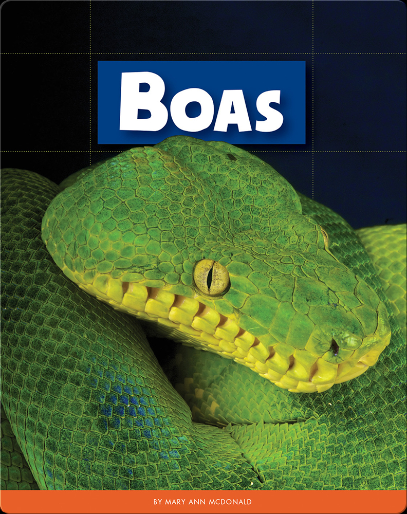 Boas Book by Mary Ann McDonald | Epic