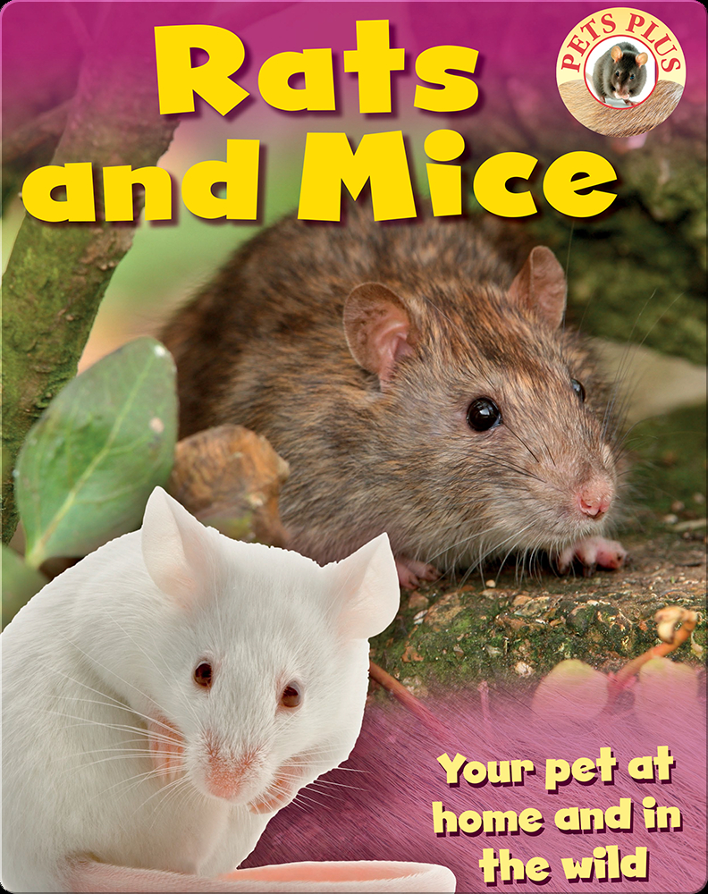 Rats and Mice Book by Sally Morgan | Epic