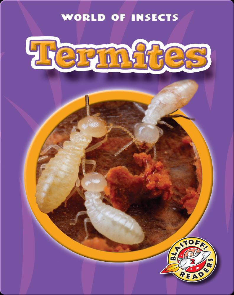 World of Insects: Termites Book by Martha E. H. Rustad | Epic